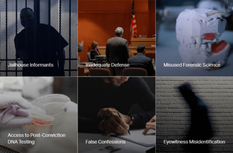 Ark Charities - Ark Institute